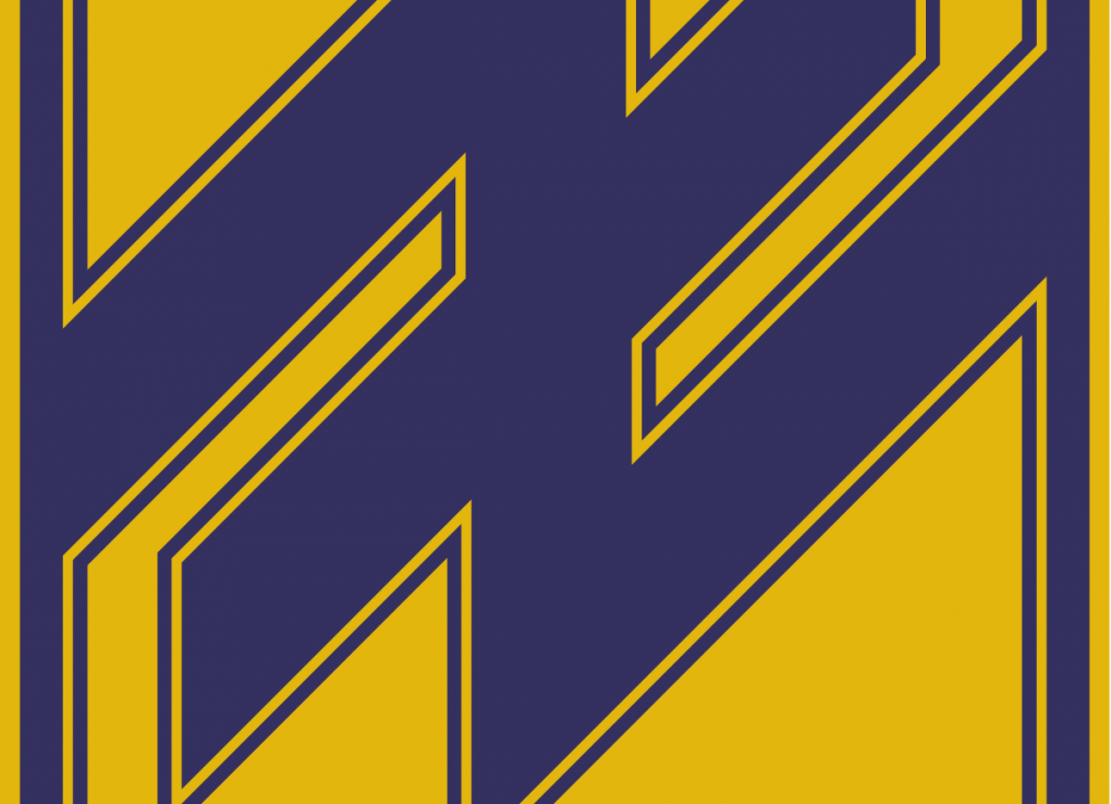 CEP Webinar: The Azov Movement – Transnational Right-Wing Extremist ...