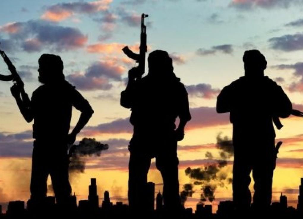 CEP Webinar: “The Logistics Of Foreign (Terrorist) Fighters From Three ...